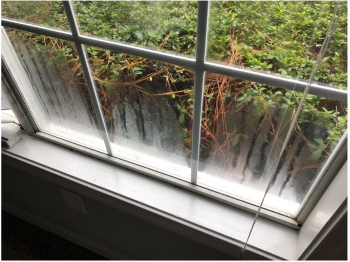 WHAT ARE THERMAL PANE WINDOWS? - ReloOlogy Inspection Management ...